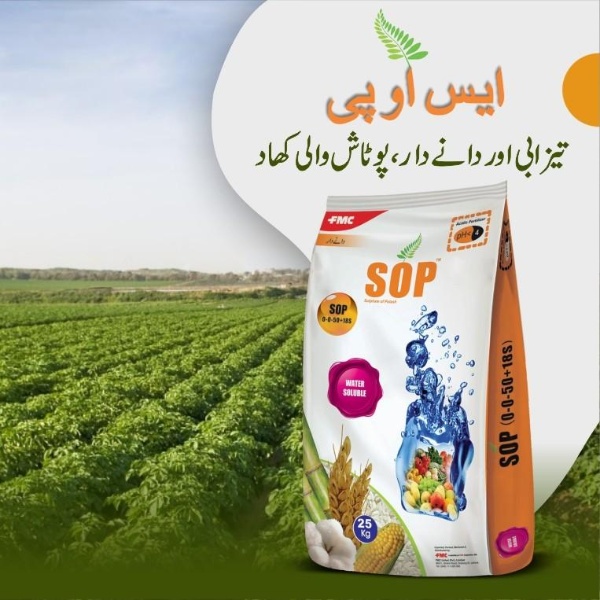 SOP - Granular 0-0-50+18s, , 25kg SOP FMC Sulfate Of Potash Macro ...