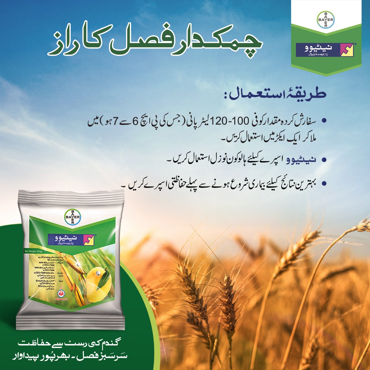 Nativo Bayer Fungicide - National Agro