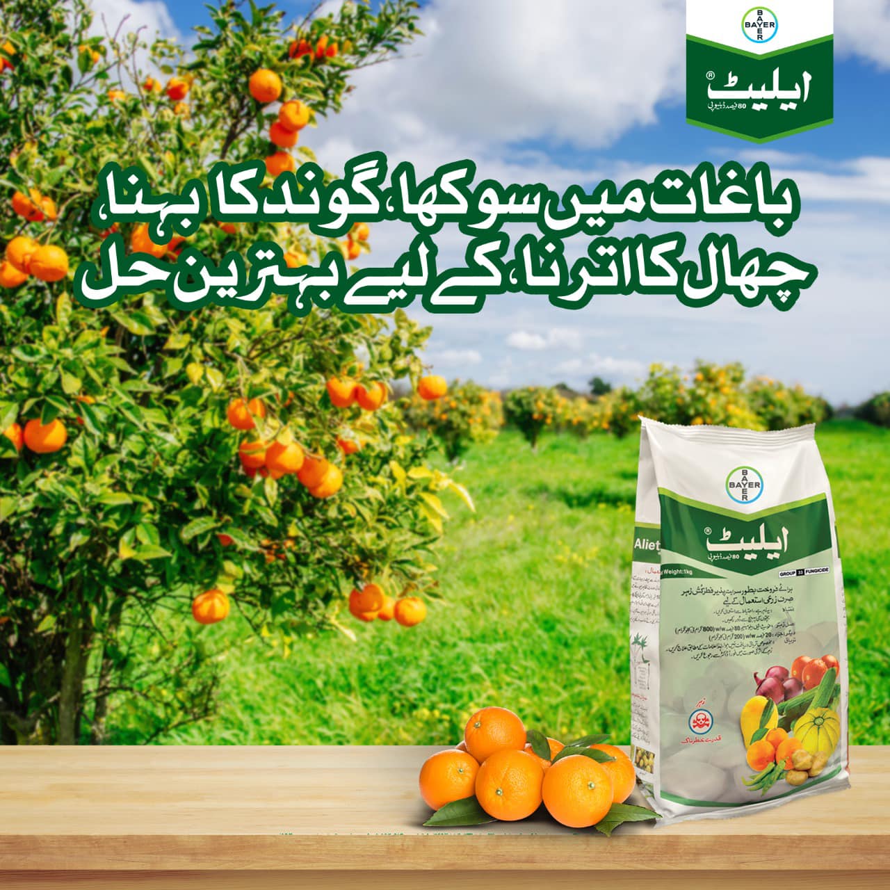 Aliette WG Fungicide Bayer - National Agro