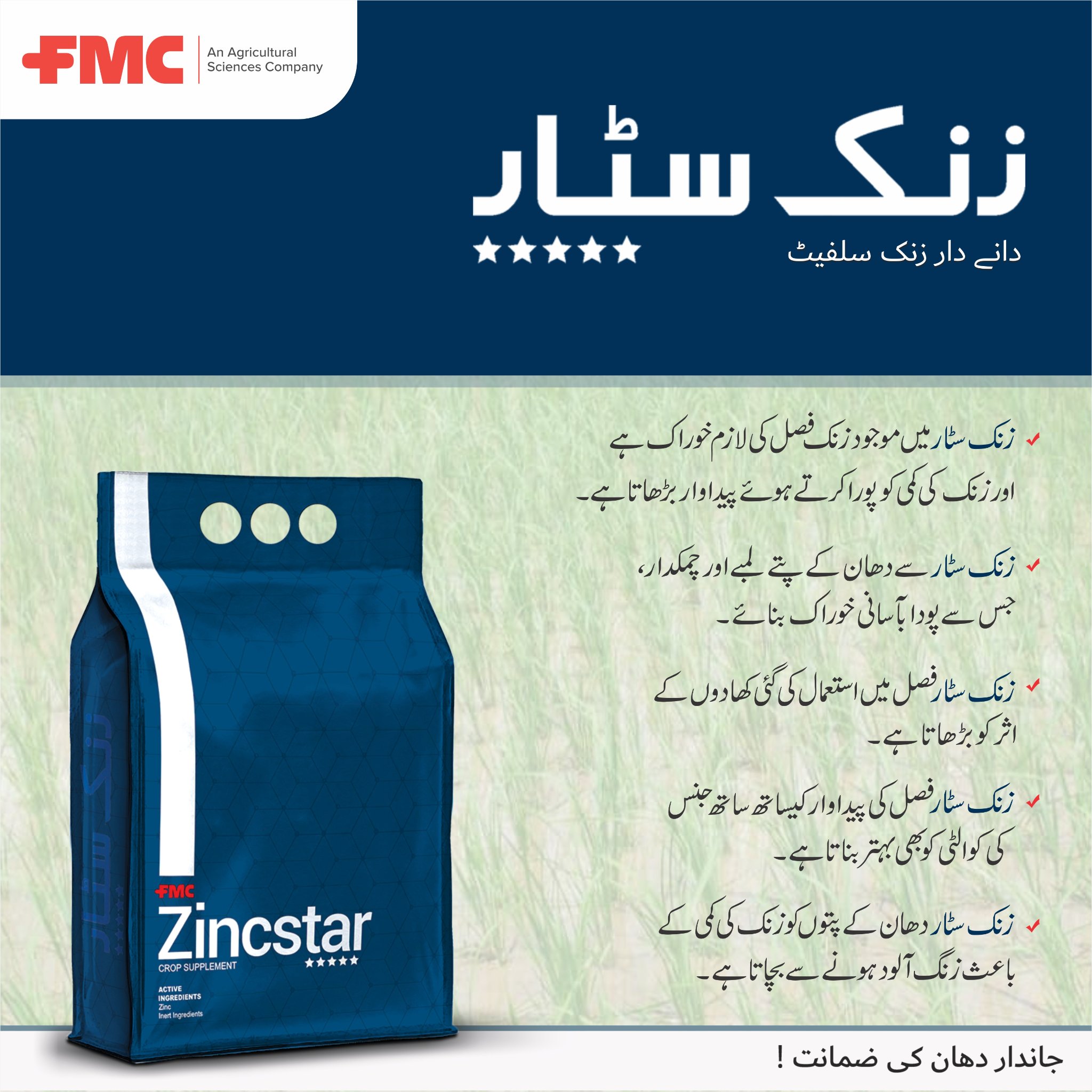 Zincstar Crop Supplement Zinc 27 W/w 3kg Zinc Sulfate Zn Zinc Star Fmc ...